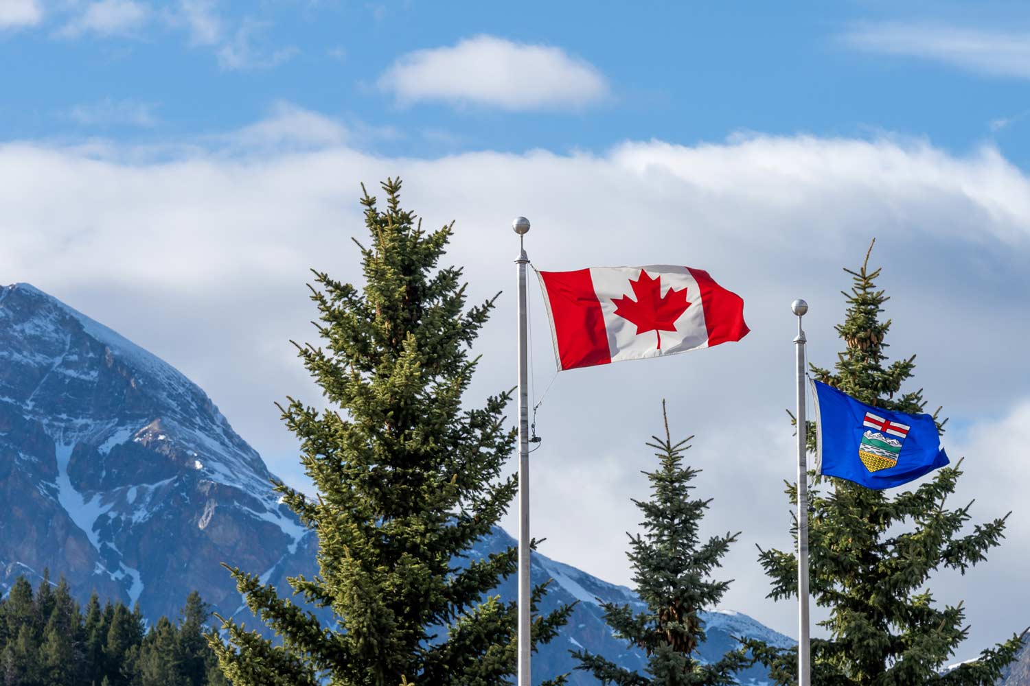 What Does Sef Mean On An Alberta Insurance Policy | BrokerLink